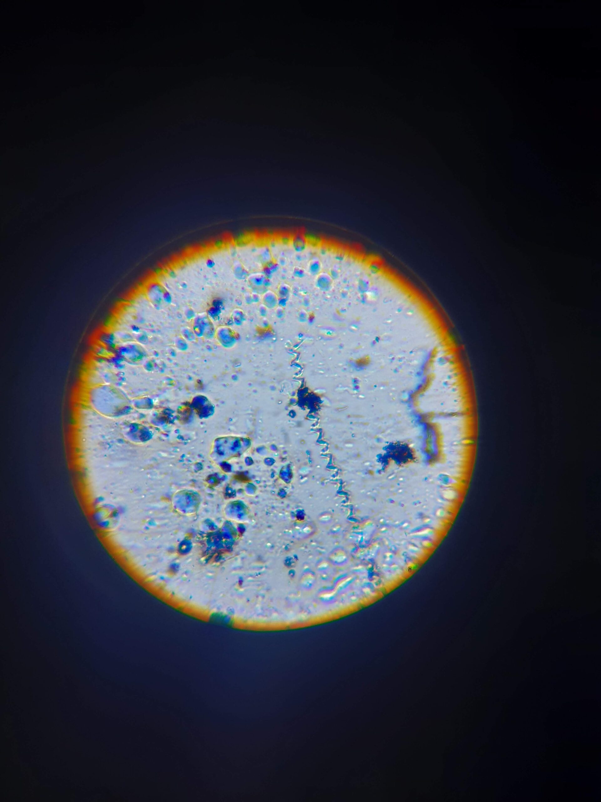 Microbiology and nutrition cycle - Soil Nurture